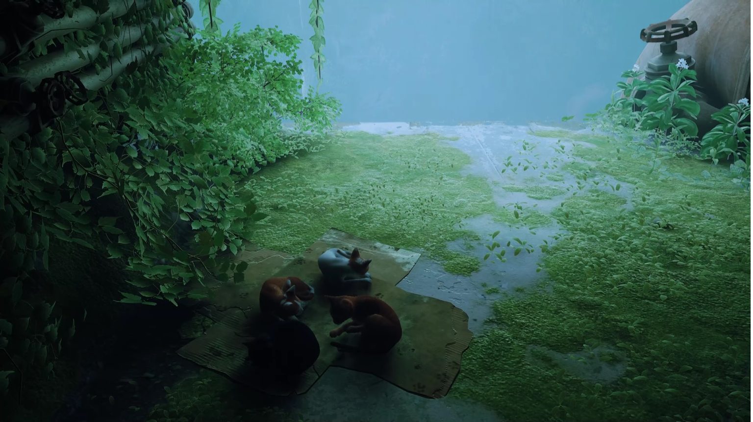 [Guide] Stray : Full walkthrough - GameActuality.com