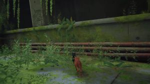 [Guide] Stray : Full walkthrough - GameActuality.com