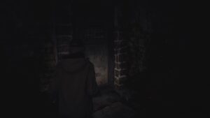 [Guide] Resident Evil 8 Village - Shadows of Rose Walkthrough