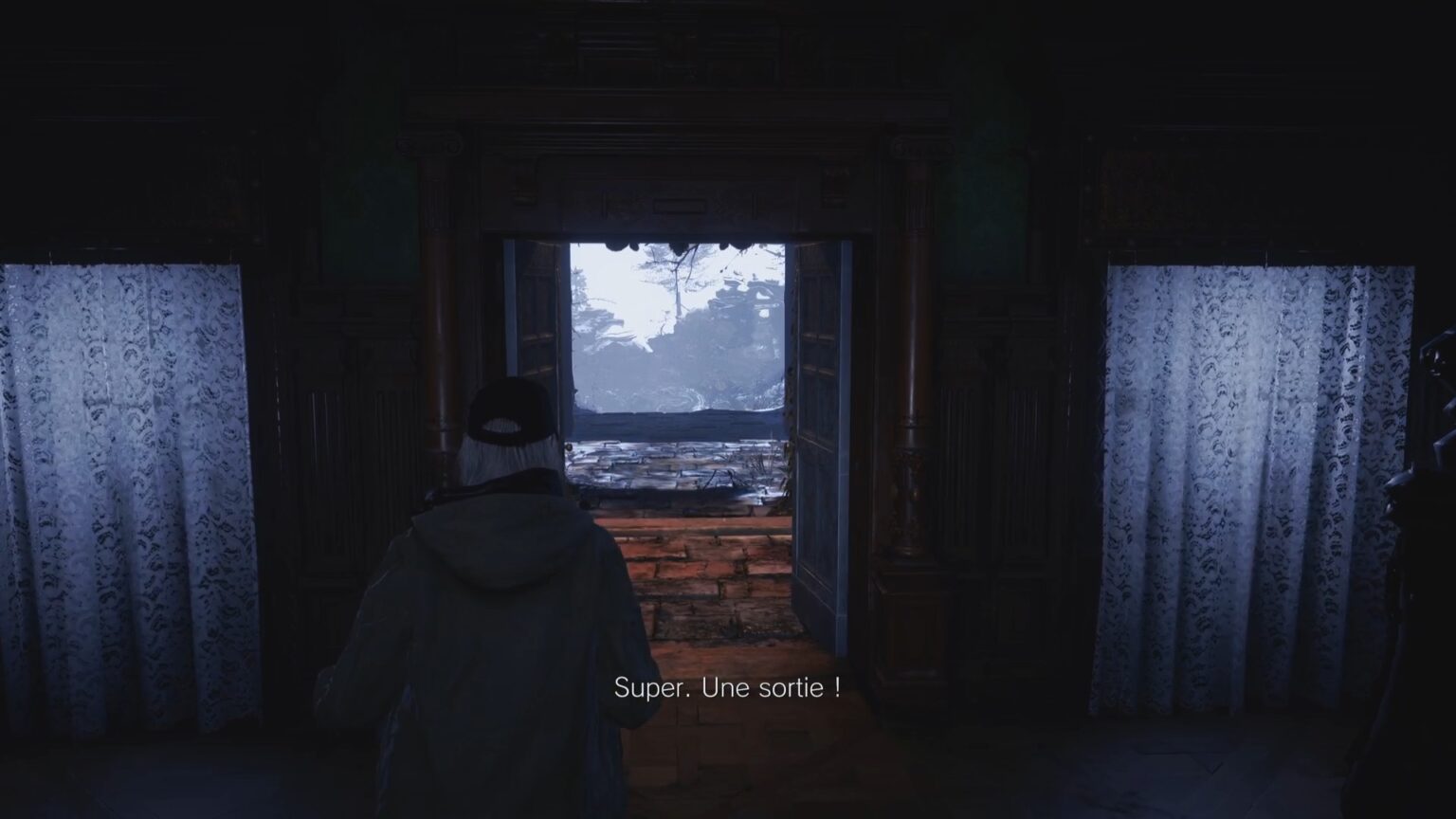 [Guide] Resident Evil 8 Village - Shadows of Rose Walkthrough