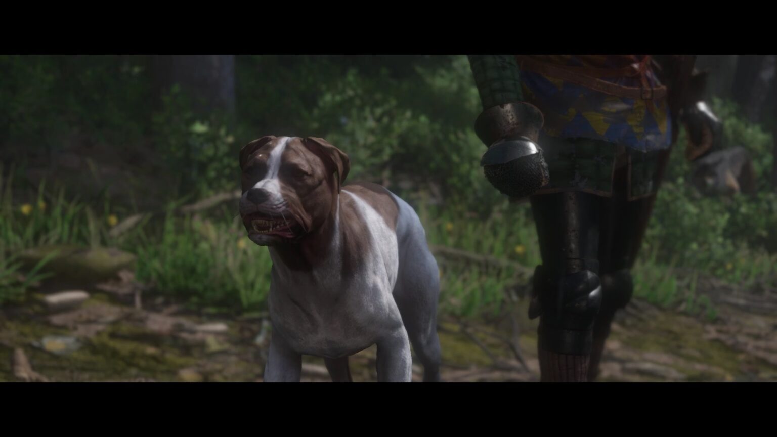 [Soluce] Kingdom Come Deliverance 2 : La quête de Cabot [FR ...